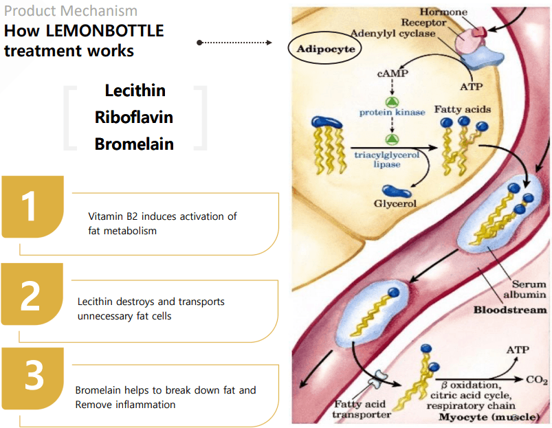 [Sid Medicos] Lemonbottle lipolysis (10ml x 5 vials) - buy online - UK ...